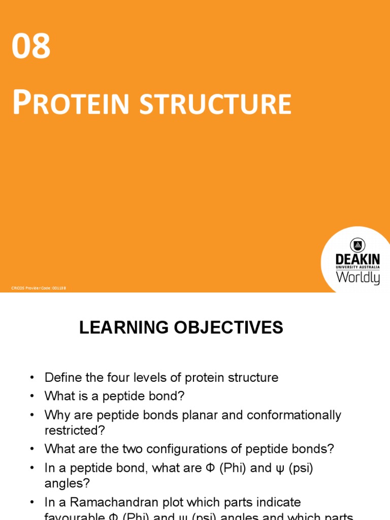 08 Lecturenotes Protein Structure Pdf Beta Sheet Protein Structure