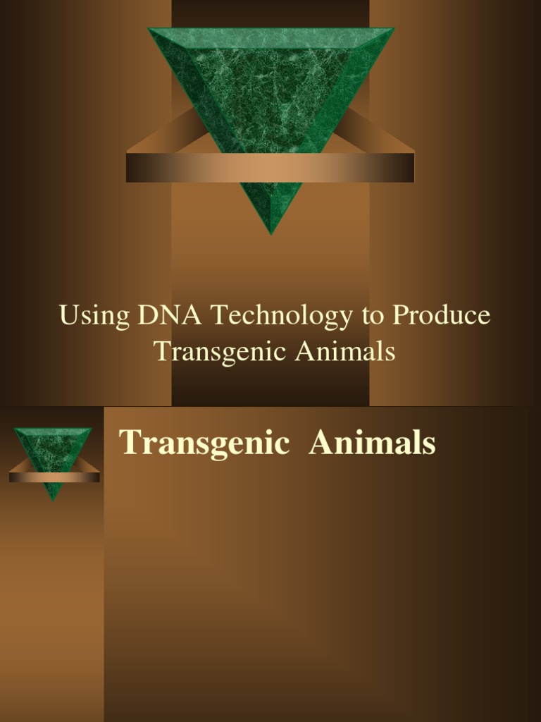 Using DNA Technology To Produce Transgenic Animals | PDF | Transgene ...