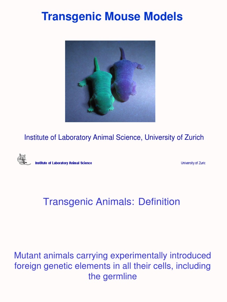Transgenic Mouse Models: Institute of Laboratory Animal Science ...