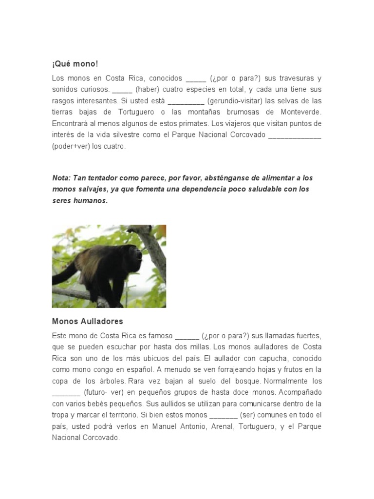 Qué Mono | PDF | Mono