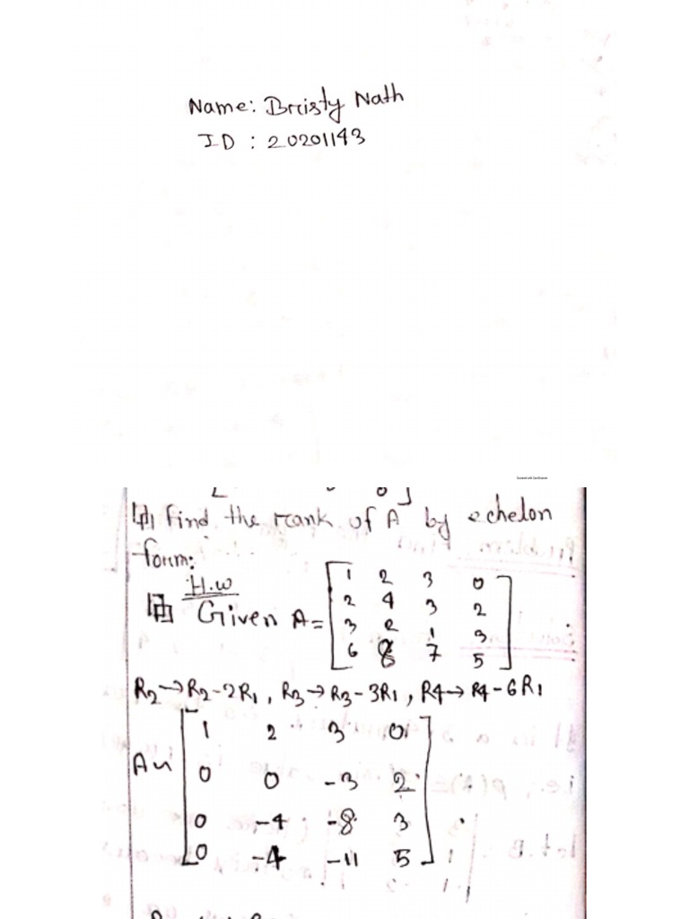 Matrix HW | PDF