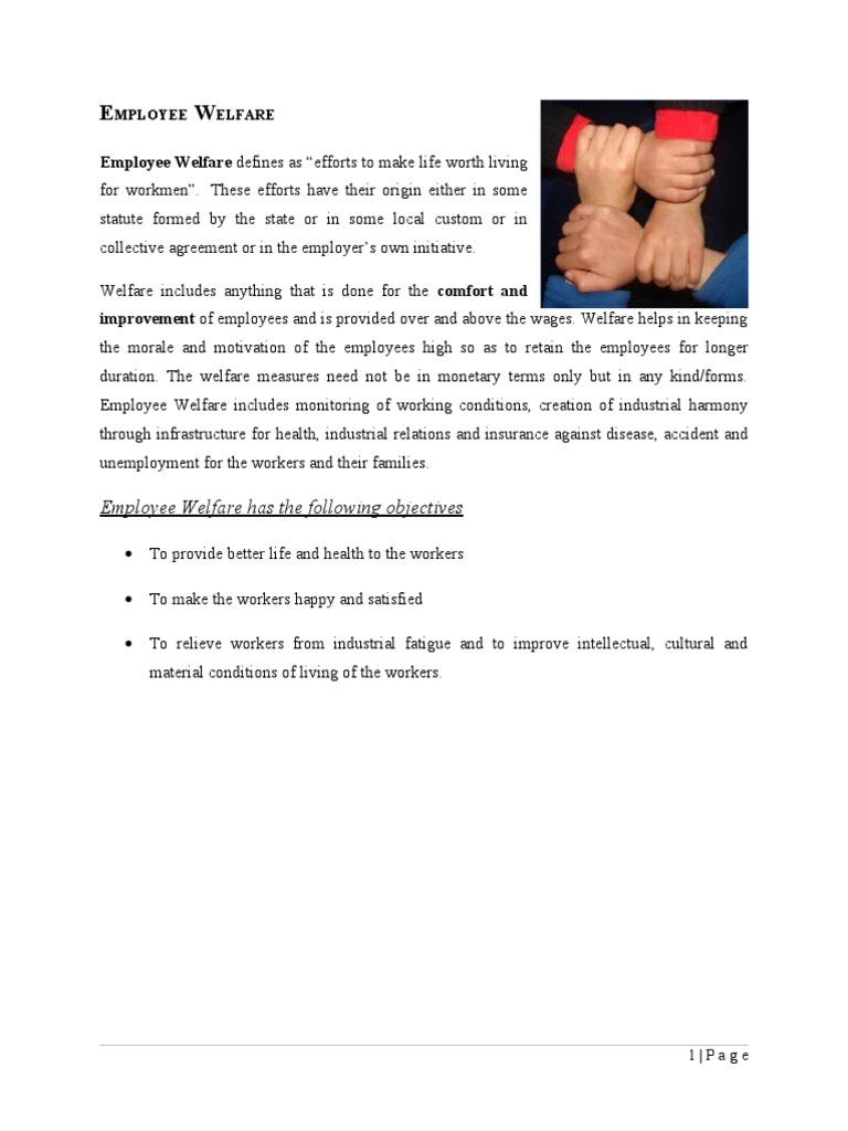 Employee Welfare Schemes at CRISIL | PDF | Welfare | Employment