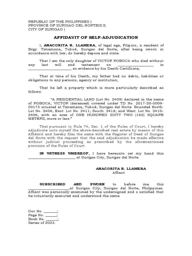 Affidavit of Self Adjudication | PDF