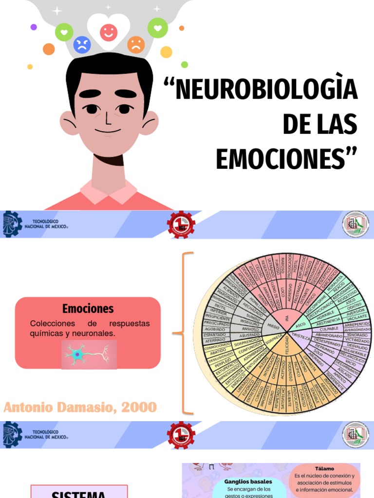 Material De Apoyo Neurobiologìa De Las Emociones Pdf Pdf
