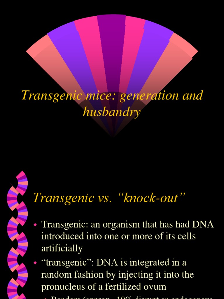 Transgenic Mice: Generation and Husbandry | PDF | Transgene | Gene Knockout