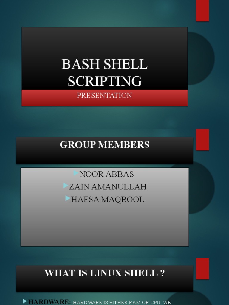 Bash Shell Scripting | PDF | Software Engineering | Computer Architecture Bash Shell Scripting | PDF | Software Engineering | Computer Architecture