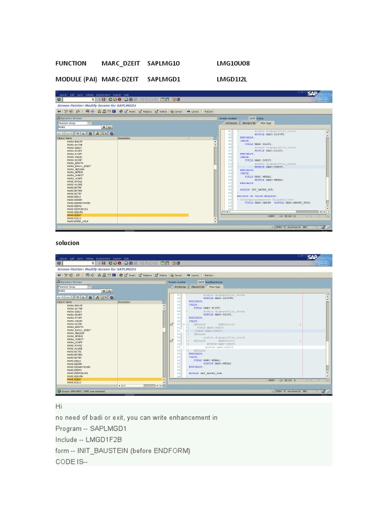 Enhancing MARC-DZEIT in SAP | PDF | Computers