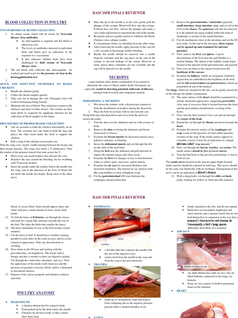 Poultry Blood Collection Guide | PDF