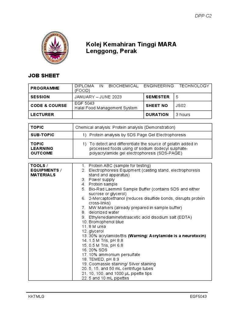 Jobsheet 2 (Protein Demo) | PDF | Gel Electrophoresis | Polyacrylamide ...