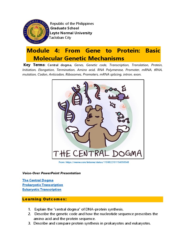 Module 4-From Gene To Protein Basic Molecular Genetic Mechanisms | PDF ...