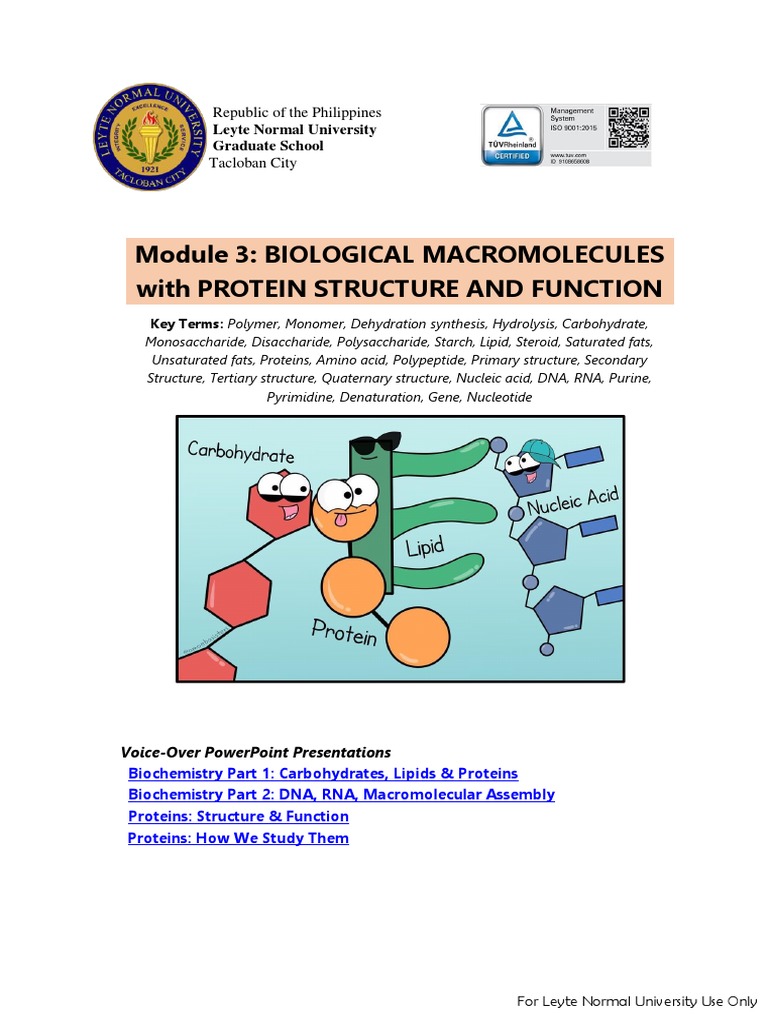 Module 3-Biological Macromolecules With Protein Functions | PDF