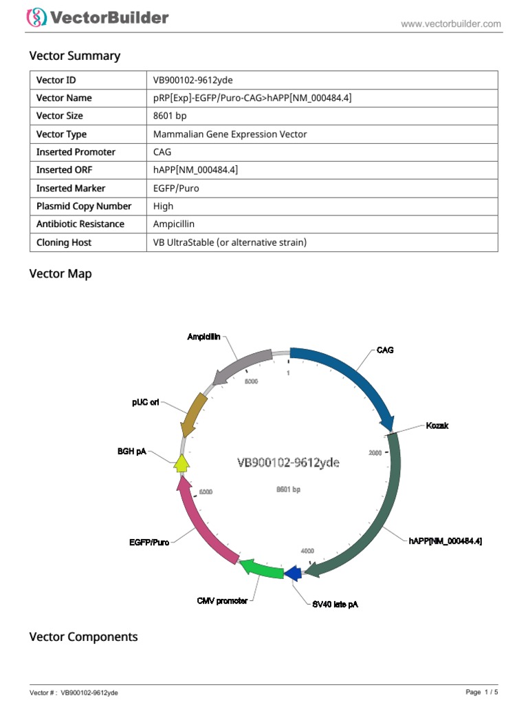 Vector App | PDF | Plasmid | Promoter (Genetics)