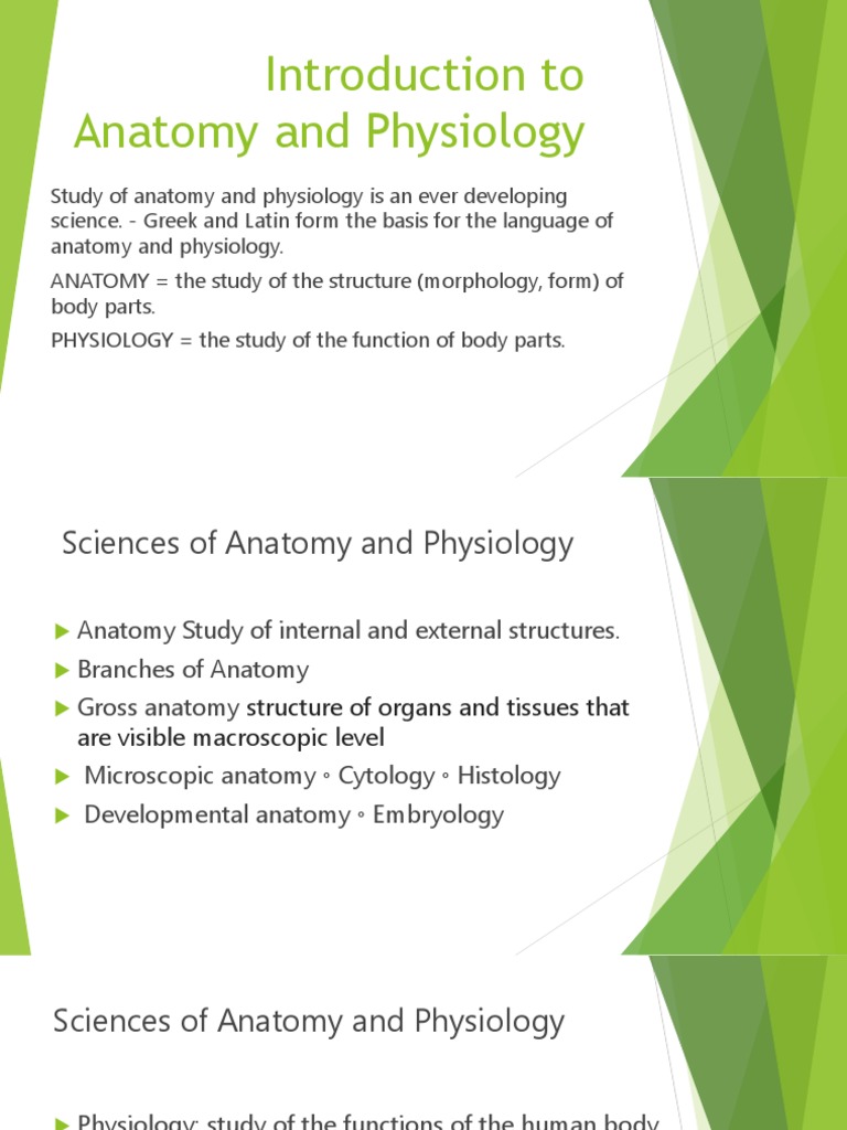 Anatomy and Physiology Overview | PDF | Human Body | Anatomical Terms ...