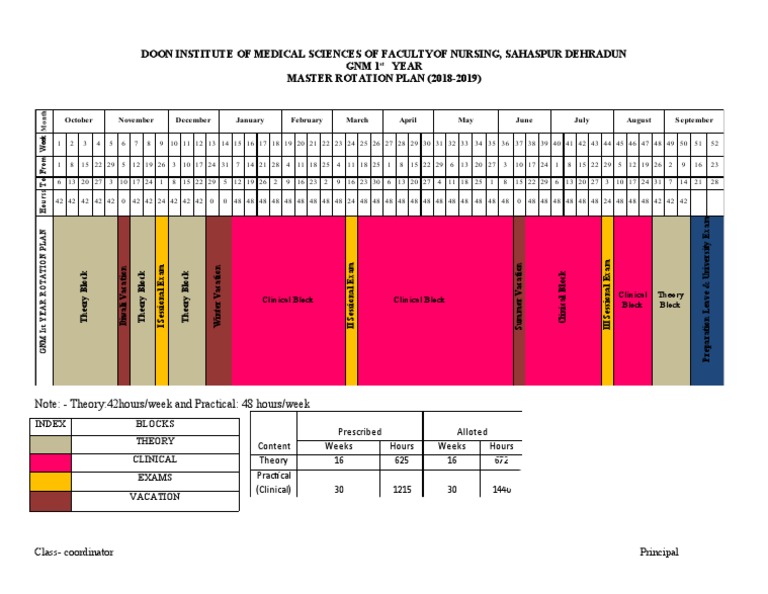 GNM 1st Year Master Rotation Plan | PDF