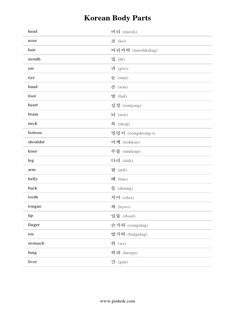 Korean Body Parts | PDF