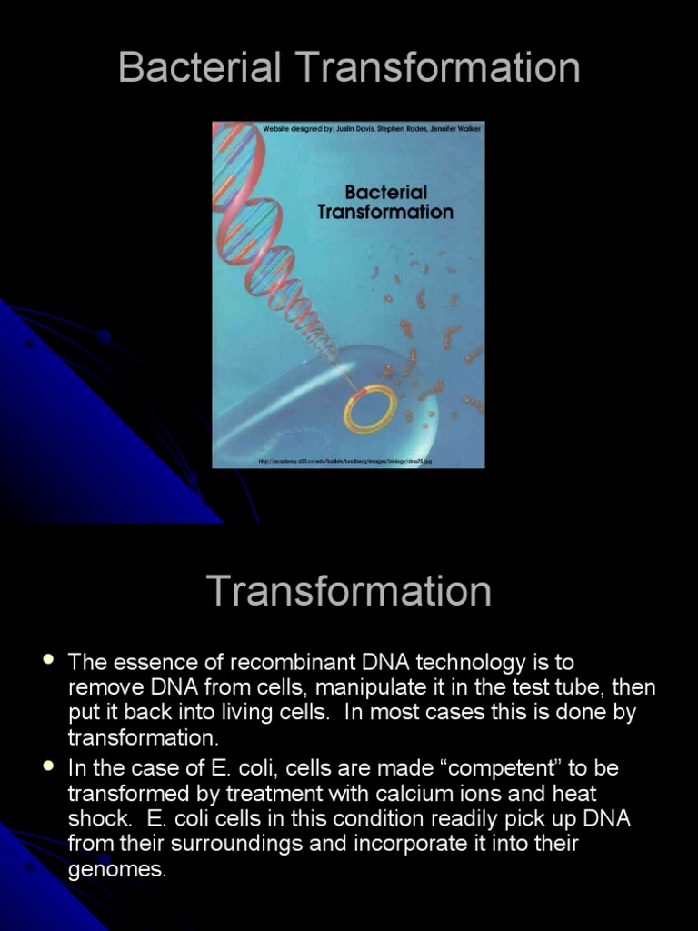 Bacterial Transformation | Transformation (Genetics) | Earth & Life ...