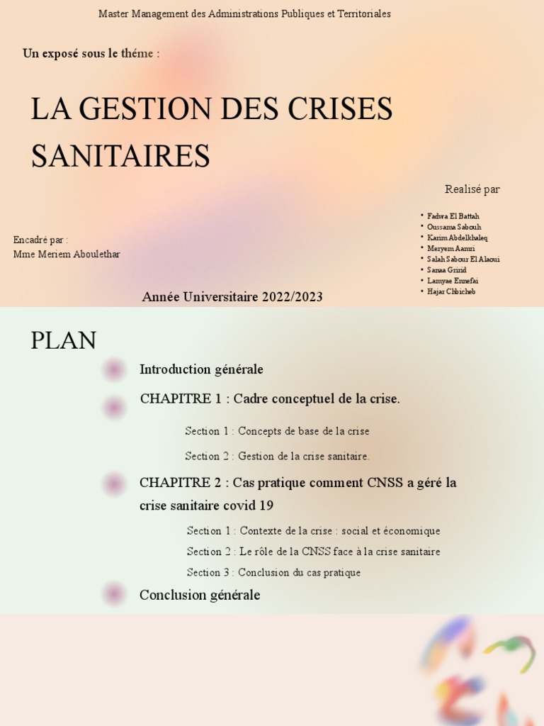 La Gestion Des Crises Sanitaires | PDF