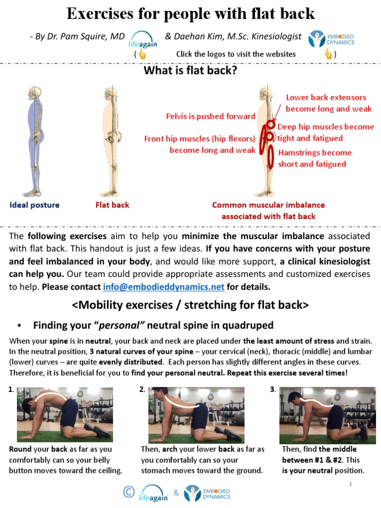 Back Exercises For Flat Back (Embodied Dynamics & L - 230611 - 162834 | PDF