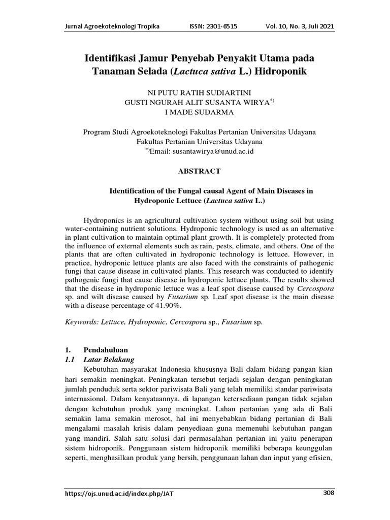 Identifikasi Jamur pada Selada Hidroponik | PDF | Kesehatan Holistik ...