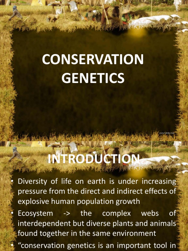 Conservation Genetics | PDF | Inbreeding | Population
