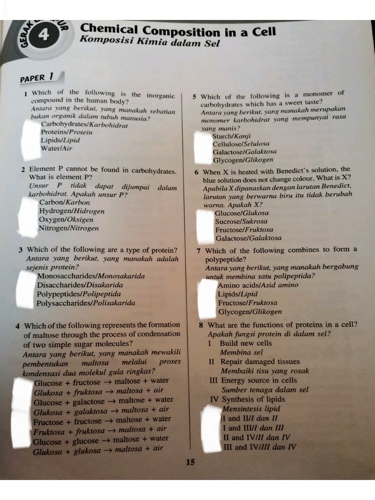 Biology Chapter 4 | PDF