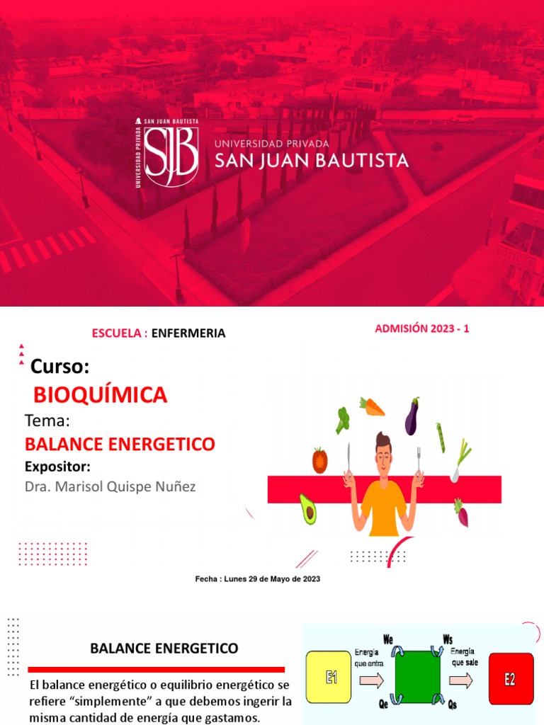 Balance Energetico | PDF | Nutrición | Dieta y nutrición