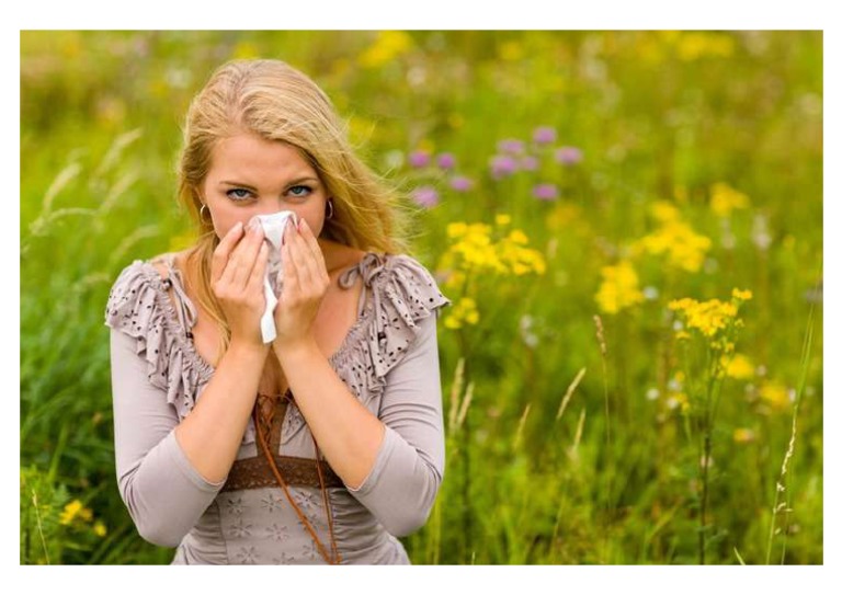 Bermuda Grass Allergy Pdf