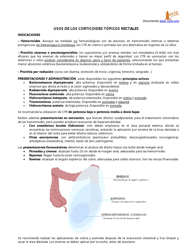 3 4 Usos de Los Corticoides Topicos Rectales | PDF | Hemorroides ...