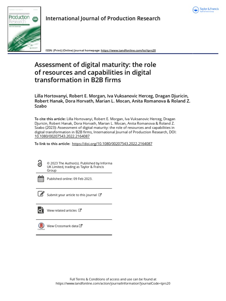Assessment Of Digital Maturity The Role Of Resources And Capabilities