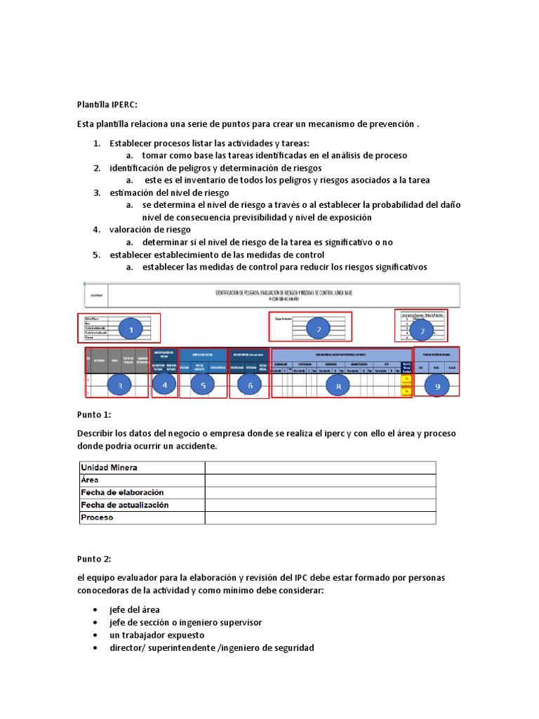 Plantilla IPERC | PDF