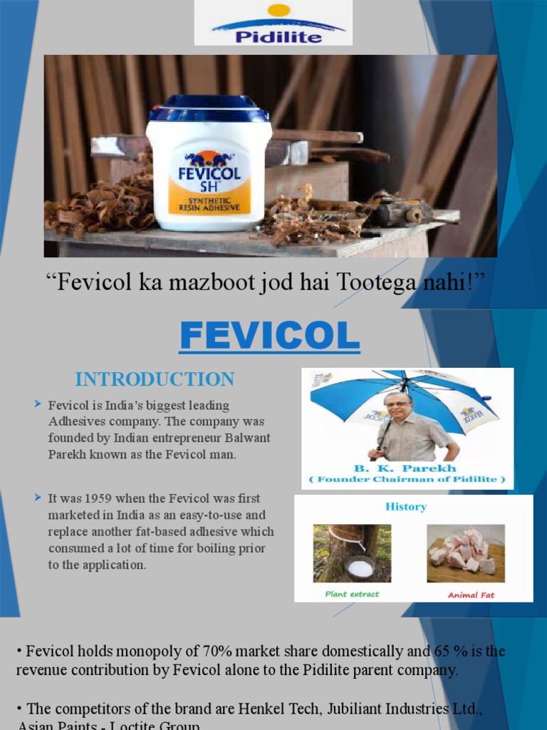 Favicol | PDF | Brand | Marketing