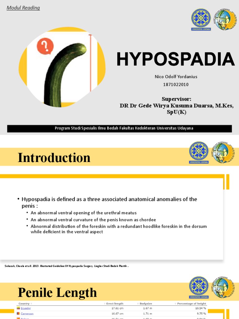 Hypospadia - ICO | PDF | Animal Anatomy | Sexual Anatomy