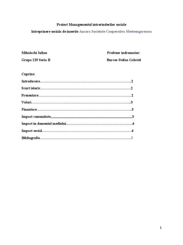 Proiect Ancora Intreprindere Sociala de Insertie | PDF