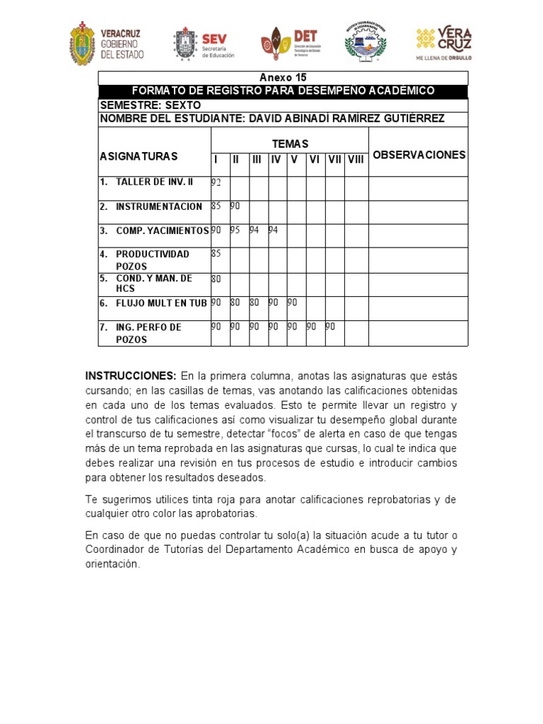 Anexo 15-FORMATO DE REGISTRO PARA DESEMPEÑO ACADÉMICO | PDF