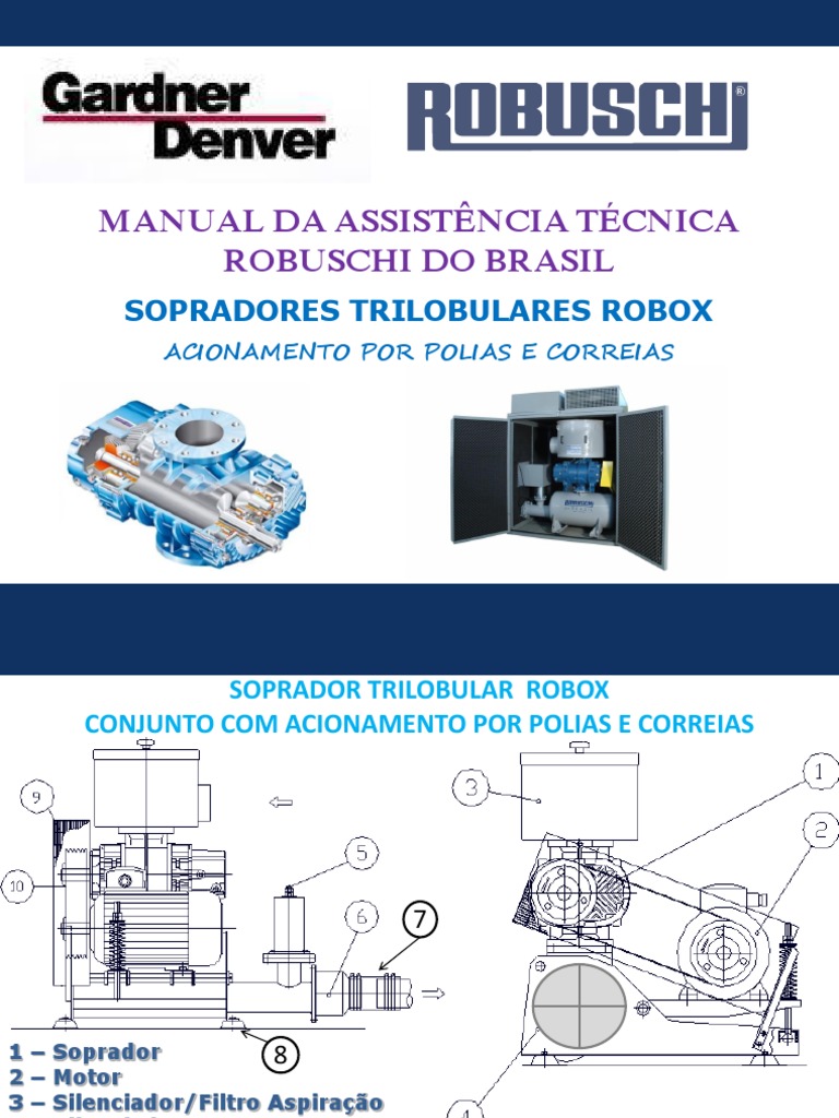 Manual de Assistência Sopradores Robuschi | PDF