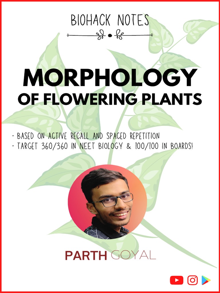 Morphology of Flowering Plants Biohack | PDF | Seed | Leaf