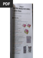 Cockroach Ncert | PDF