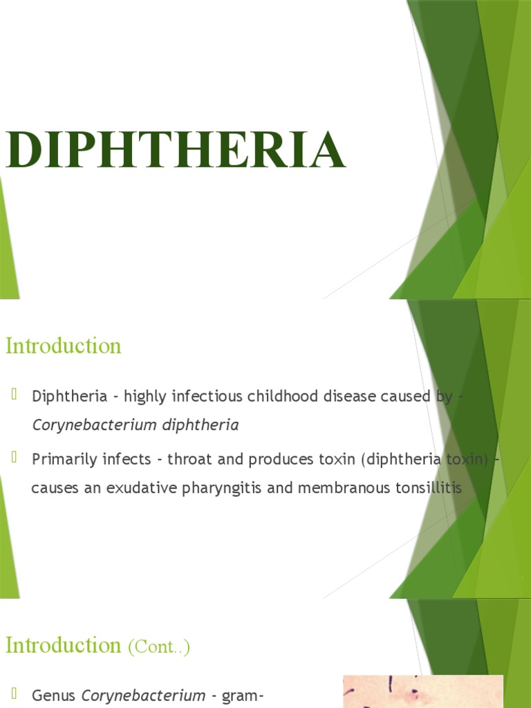 Corynebacterium Diphtheria | PDF | Medical Specialties | Immunology