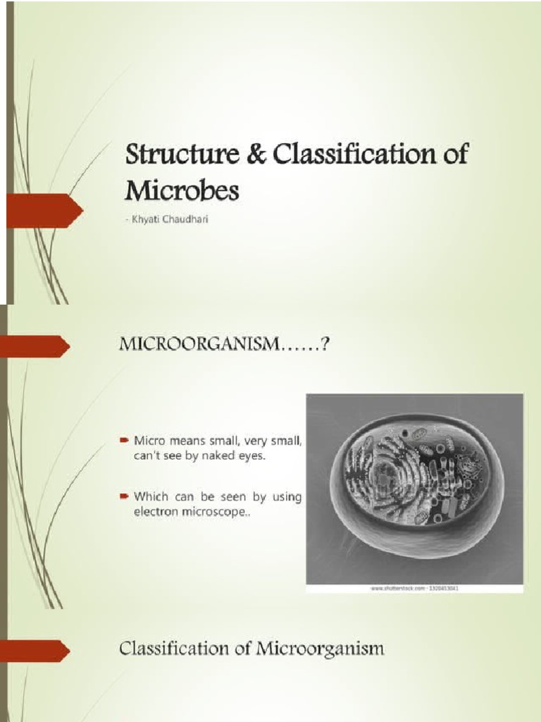Unit 1 Microbiology | PDF