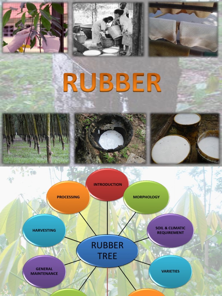 Rubber | PDF