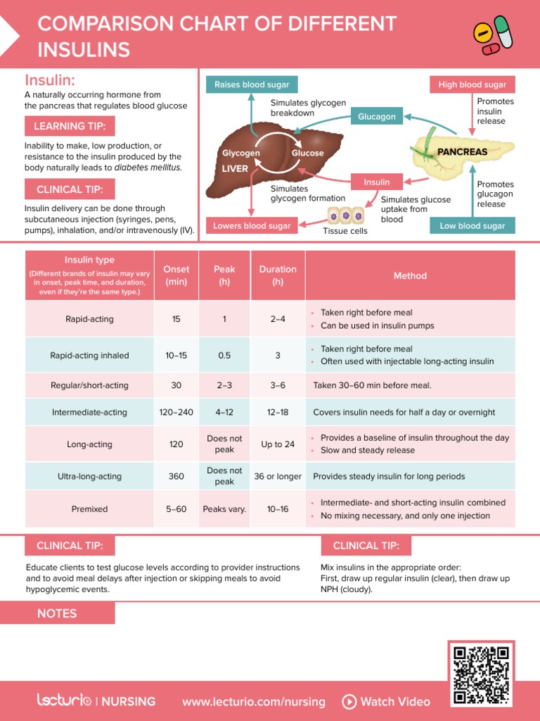 Nursing - CS - Comparison Chart of Different Insulins - 04 | Download ...