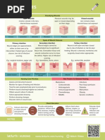 First Aid Mnemonics | PDF | First Aid | Surgical Specialties