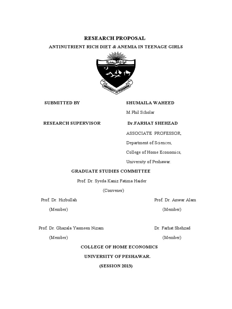 Research Proposal Ms. Shumaila HECO UOP | PDF