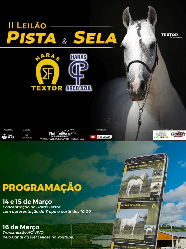 16-03-23 - Ii Leilão Pista & Sela - Haras Textor e Haras Arco Azul | PDF | Leilão | Mercados ...