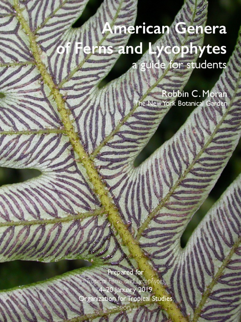 Moran 2019 Fern Guide Pdf Fern Plants