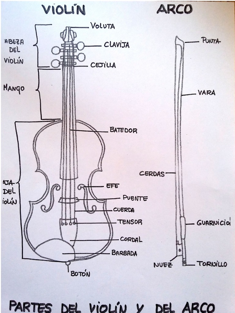 Partes de Un Violin 22092015 | PDF