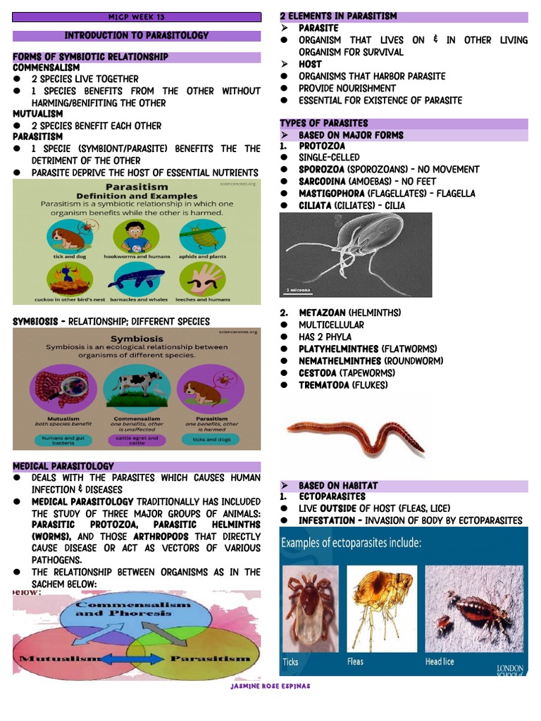 Micp Week 13 Intro To Parasitology Cestodes | PDF