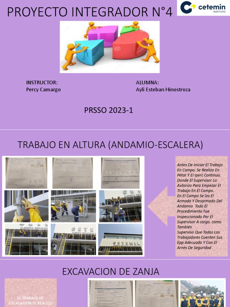 Proyecto Integrador N°4 Ayli Esteban Hinostroza | PDF