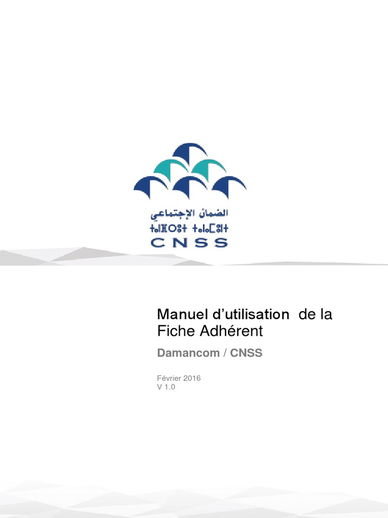 Guide Damancom 2 | PDF | Logiciel | Informatique