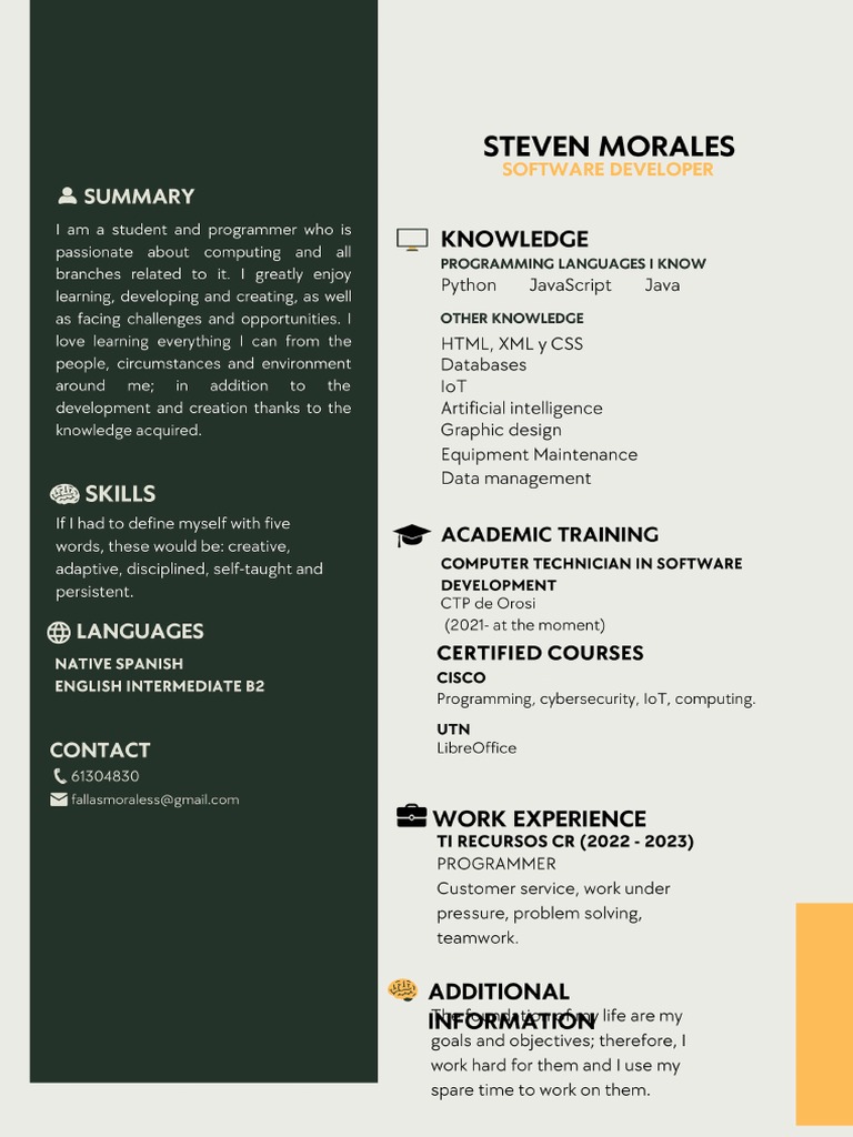 Steven Morales Fallas CV English | PDF